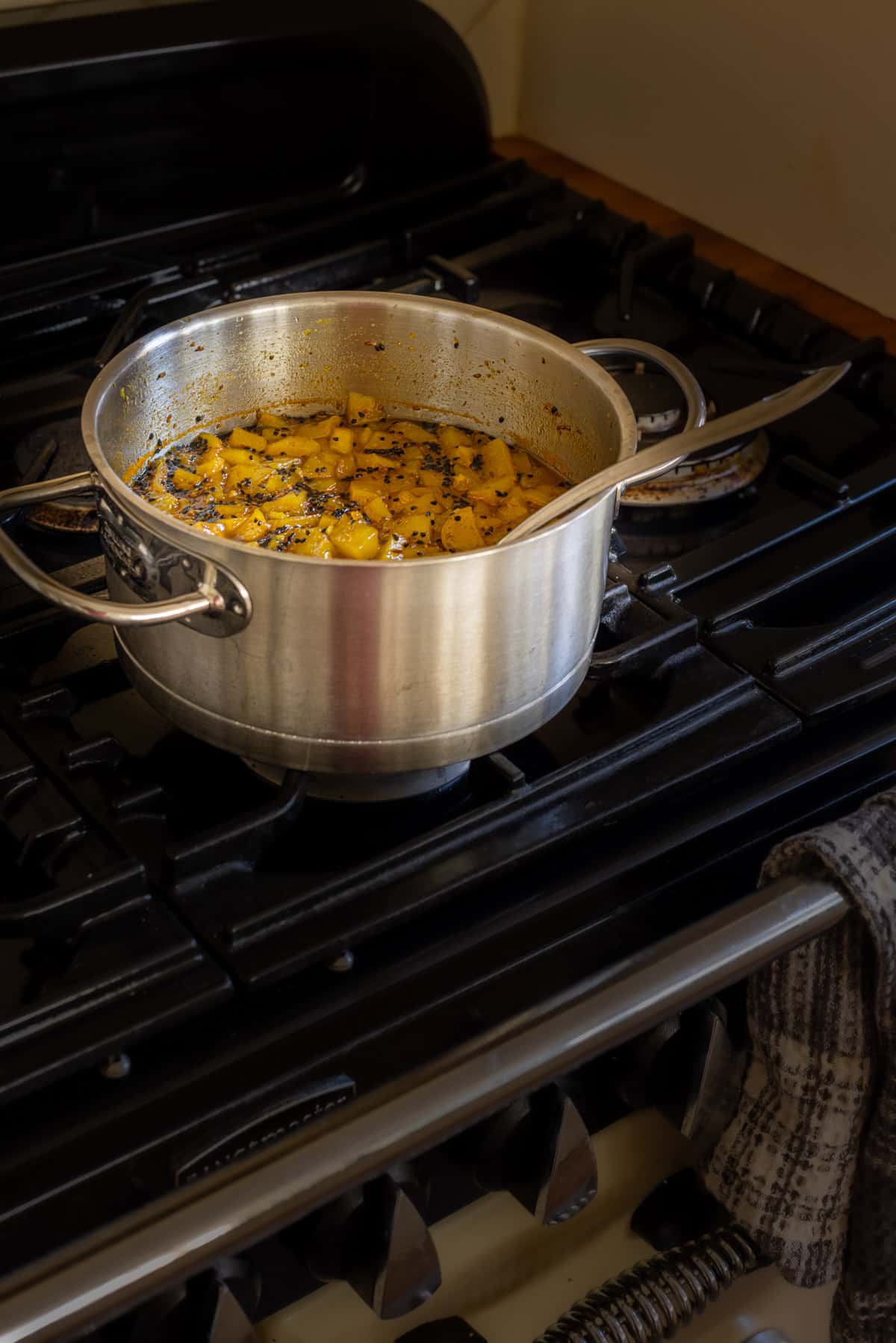 Indian Mango Chutney Recipe - Sandhya's Kitchen