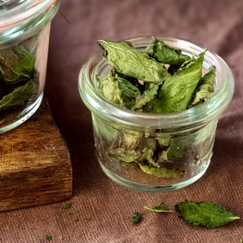 Dried Mint leaves - How to dry mint at home? - Sandhya's Kitchen