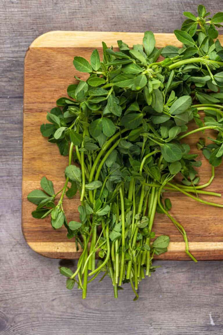 How to Store Methi Leaves - Sandhya's Kitchen